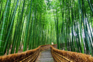 Alles over Kobe - Top 10 Bezienswaardigheden - de beste reisgids